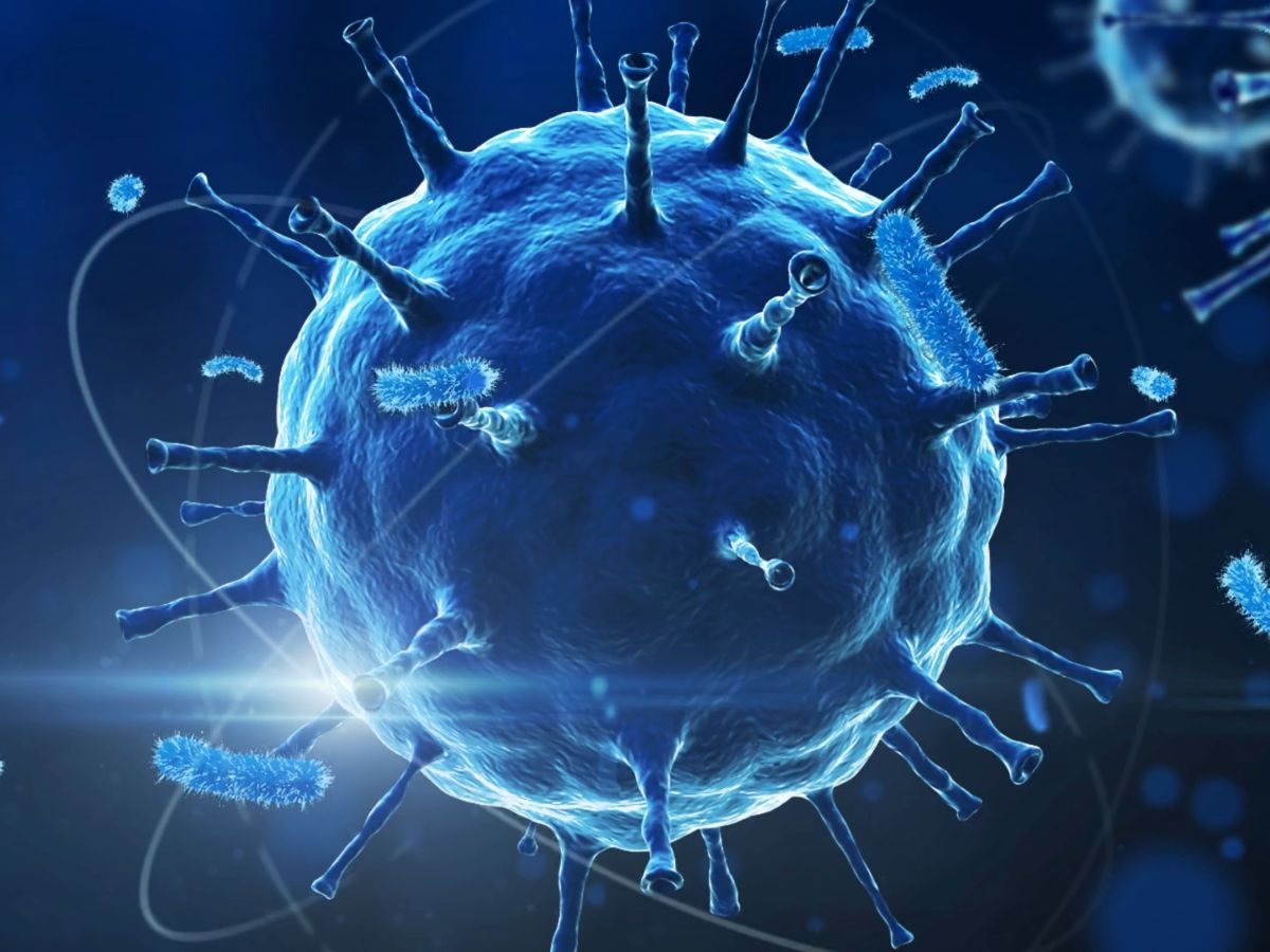 Respiratory Pathogen Panel (RPP) Test | All Seniors Foundation