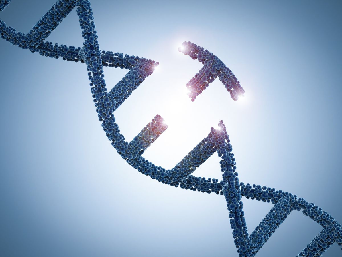 Neurogenetic Disorder Testing | All Seniors Foundation
